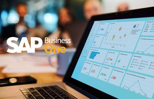 SAP Business One Common Table Names and Queries